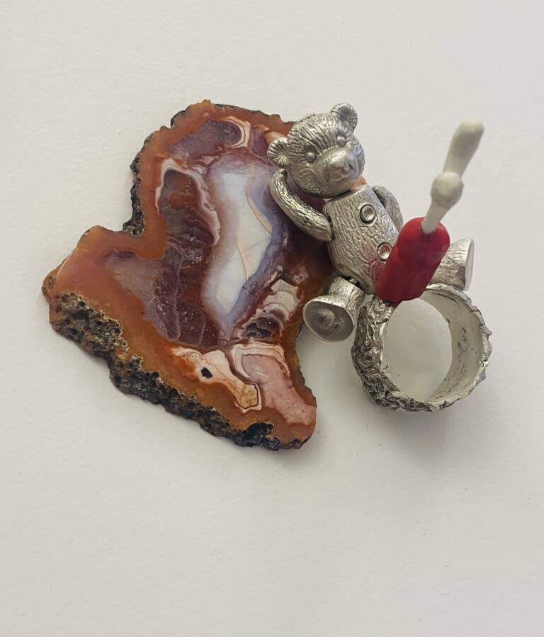 A Collectarium of Natural Marvels, Skullbugs & Aberrant Paraphernalia ...