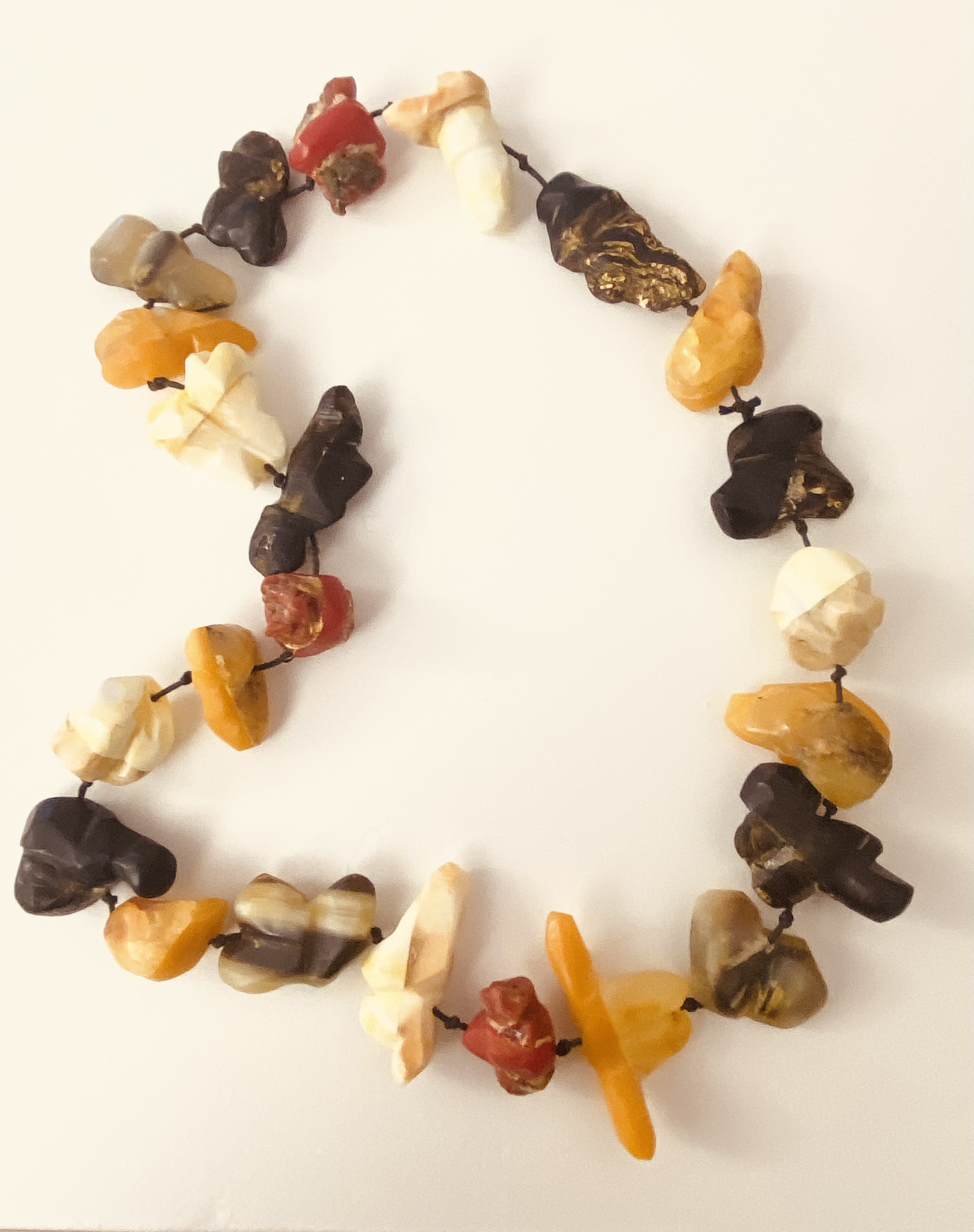 A Collectarium of Natural Marvels, Skullbugs & Aberrant Paraphernalia ...